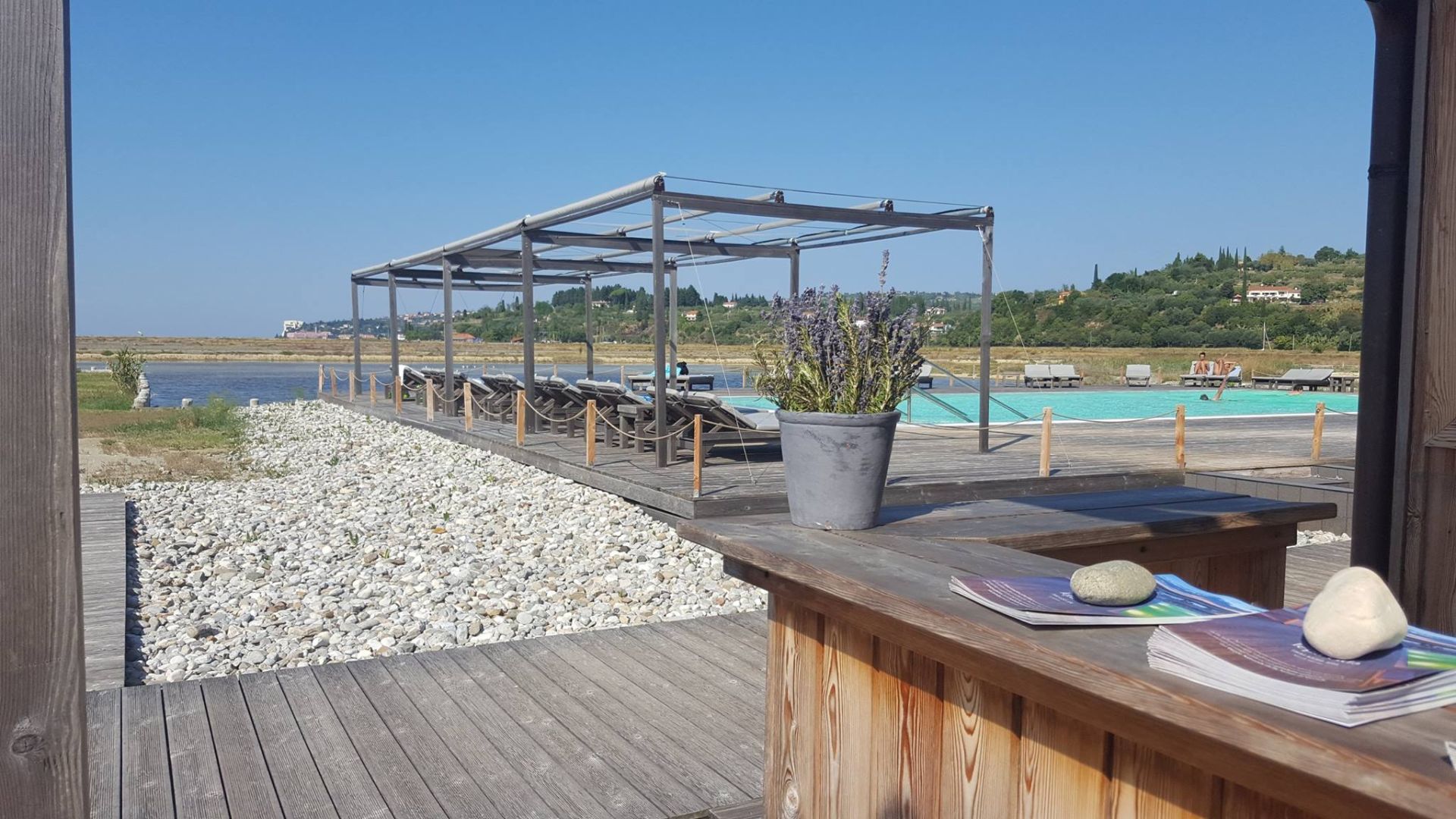 Lepa Vida od 25. maja spet z vami | Portorož & Piran