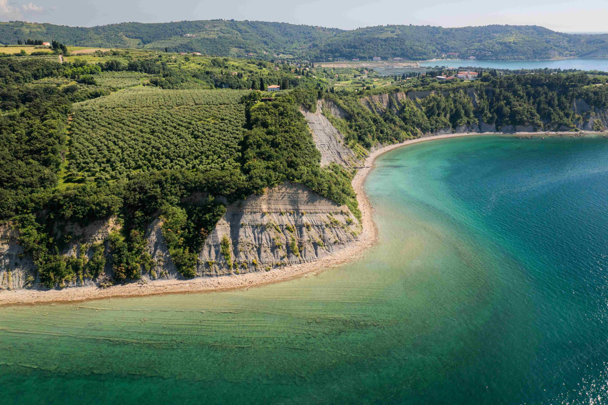 Guided Tours of Strunjan Landscape Park | Portorož & Piran
